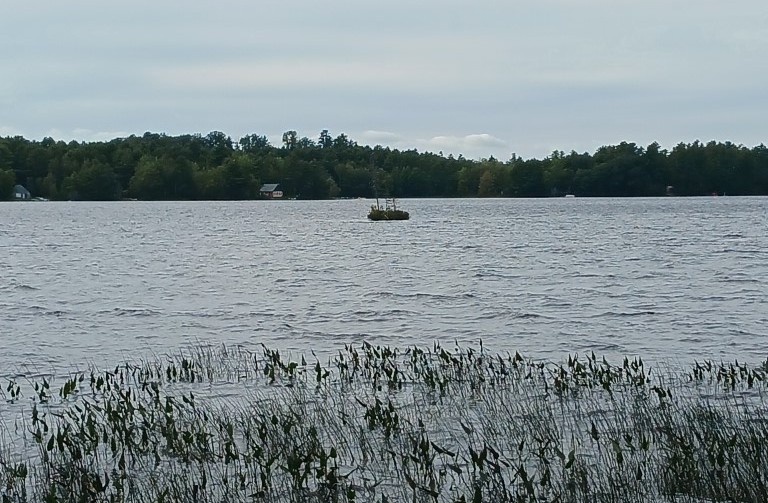 Island On The Move | Clary Lake Association