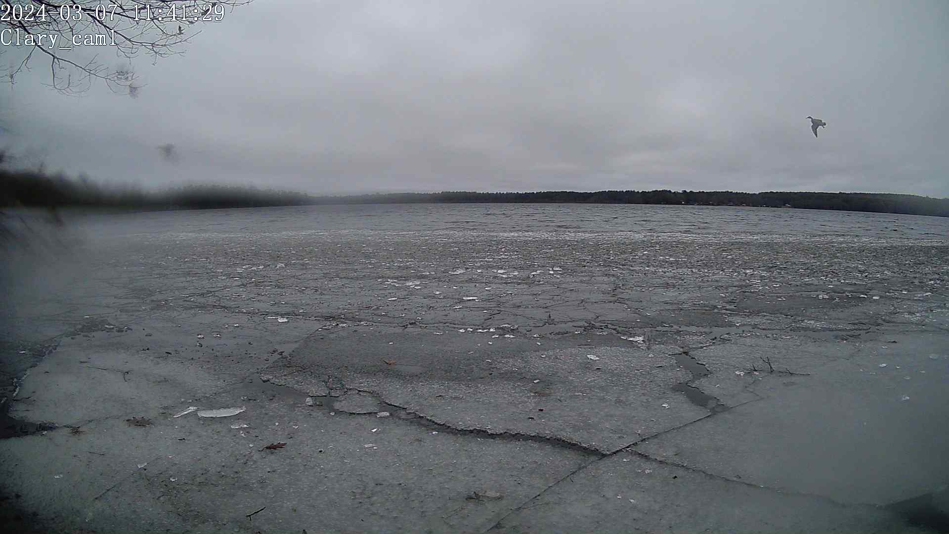 Ice Out Imminent (Video) | Clary Lake Association